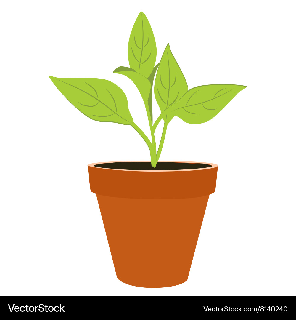 Plant in a pot Royalty Free Vector Image - VectorStock