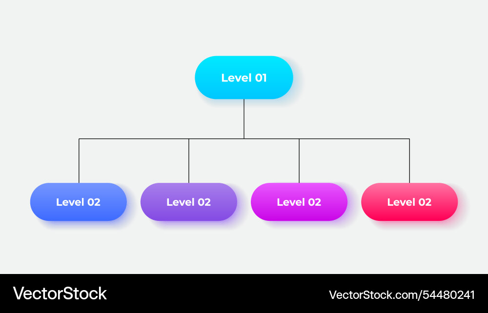 Business hierarchy chart infographics corporate Vector Image