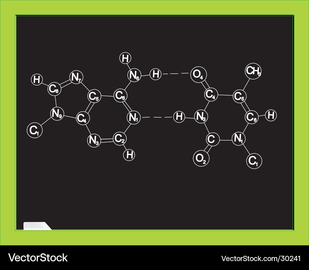 Dna Royalty Free Vector Image - VectorStock