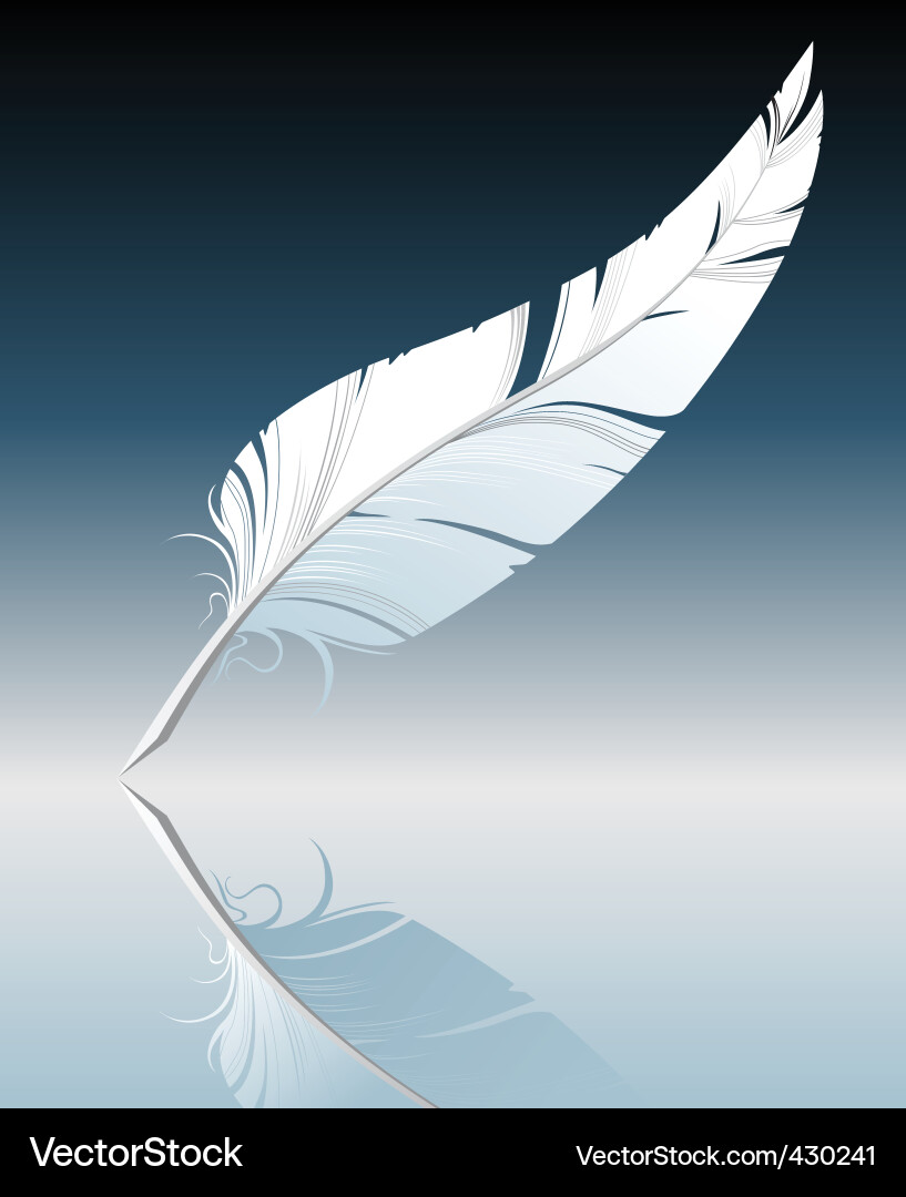 Feather Royalty Free Vector Image - VectorStock