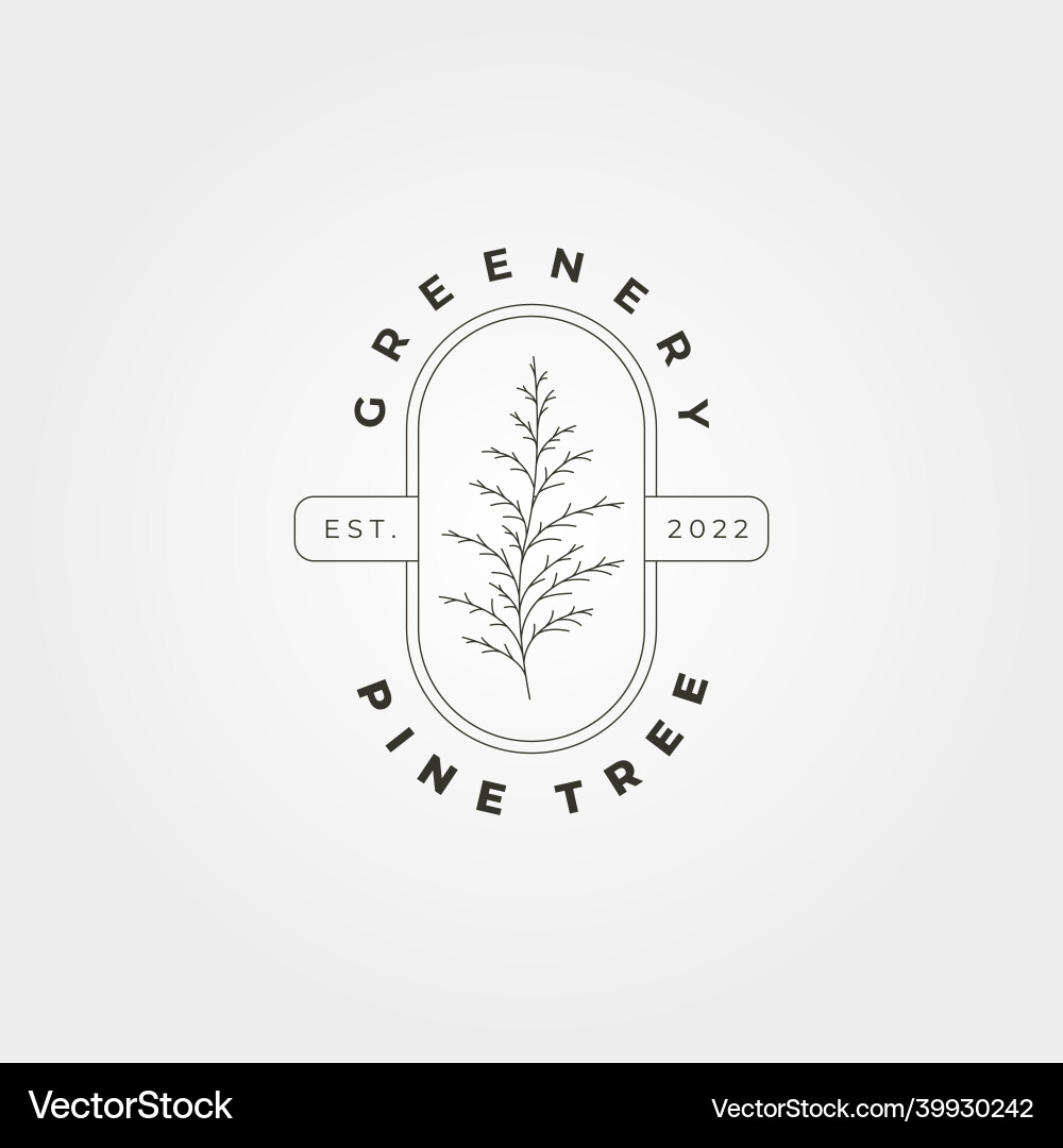 Cedar pine tree leaves logo symbol design Vector Image