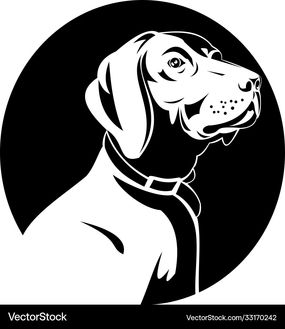 Head a german shorthaired pointer dog retro Vector Image