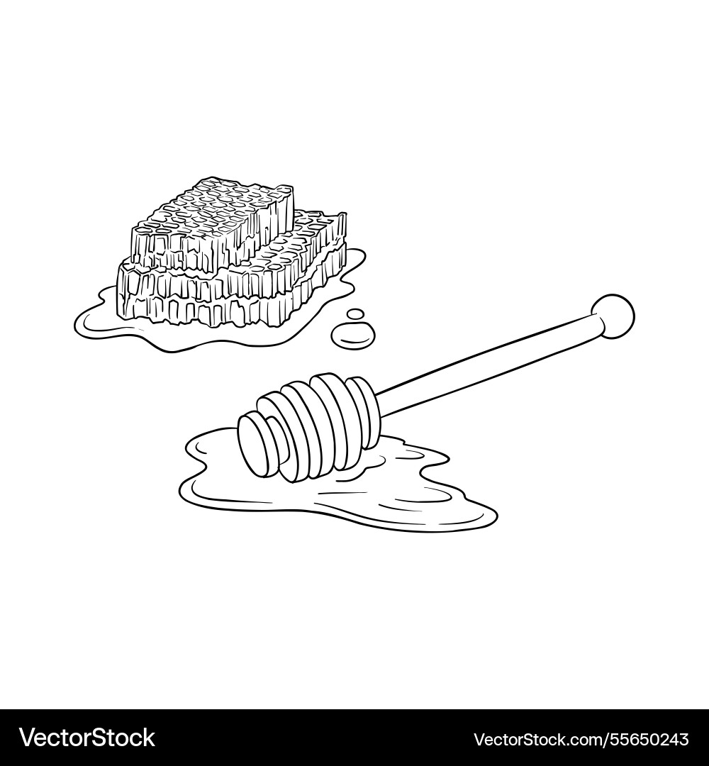 Drawing honey combs and dropper Royalty Free Vector Image