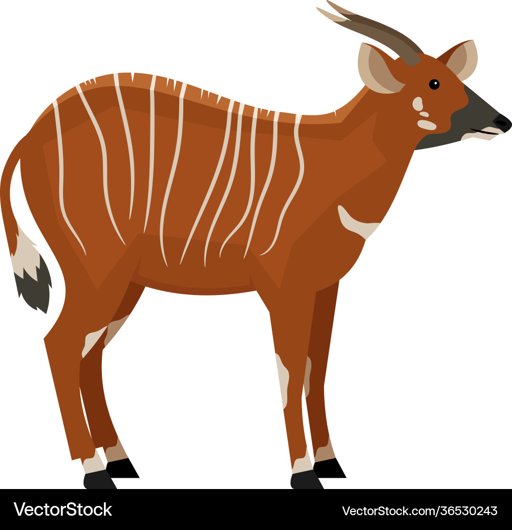 Eastern Bongo Antelope Royalty Free Vector Image