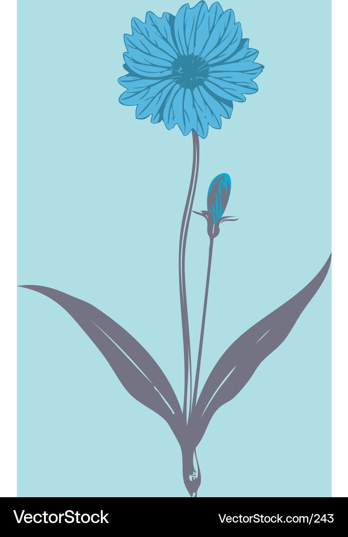Flower Royalty Free Vector Image - VectorStock