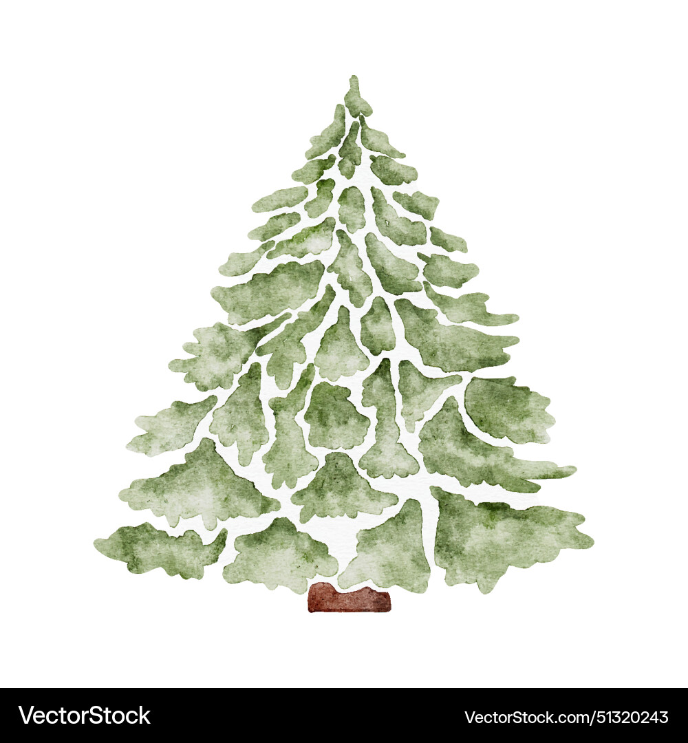 Hand drawn watercolor christmas tree isolated Vector Image