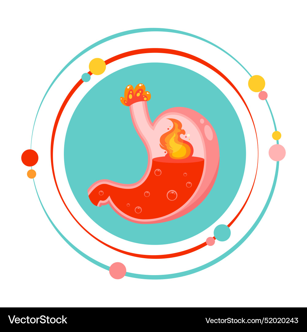 Stomach acid fire icon Royalty Free Vector Image