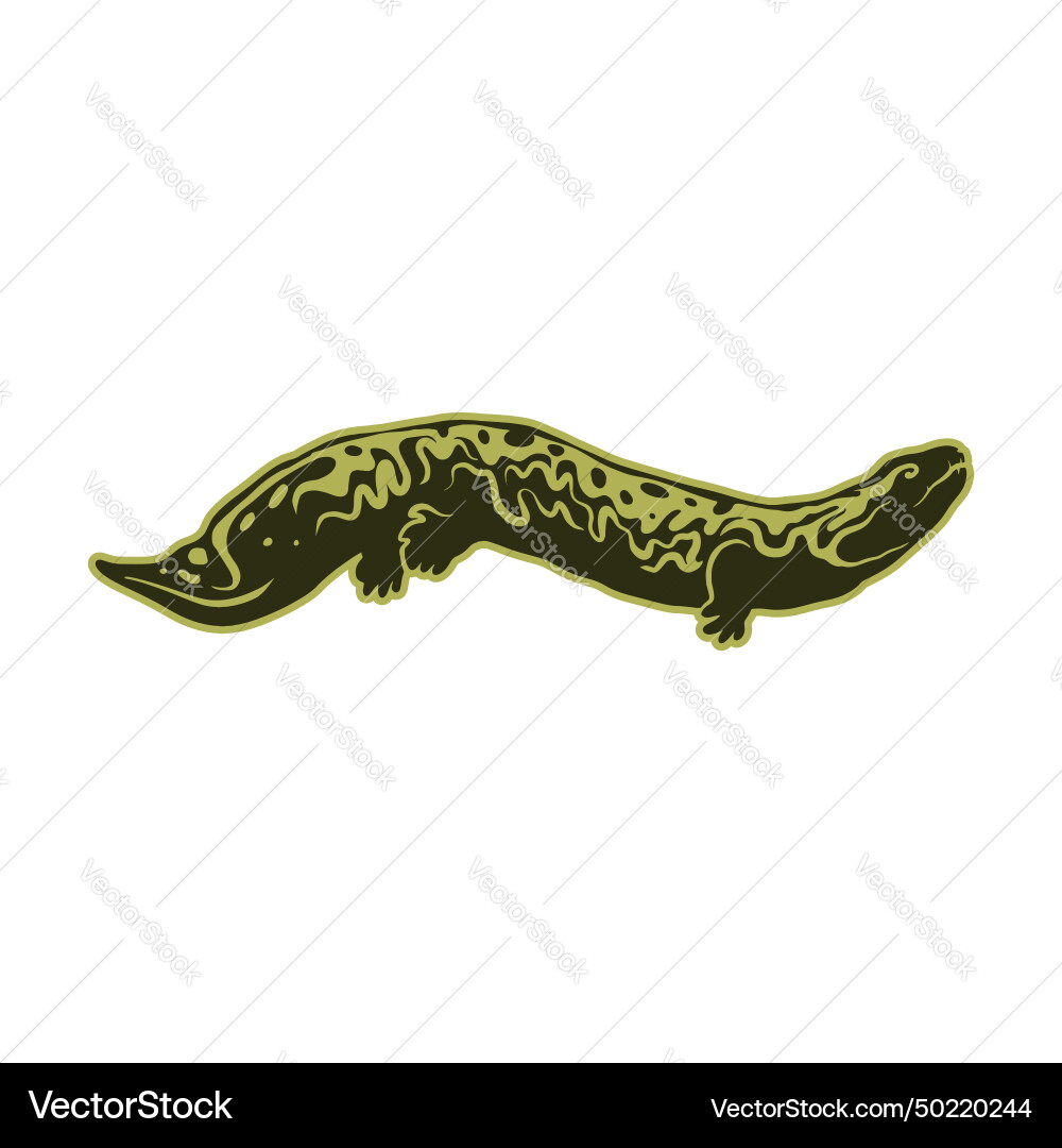 Chinese giant salamander hellbender icon Vector Image