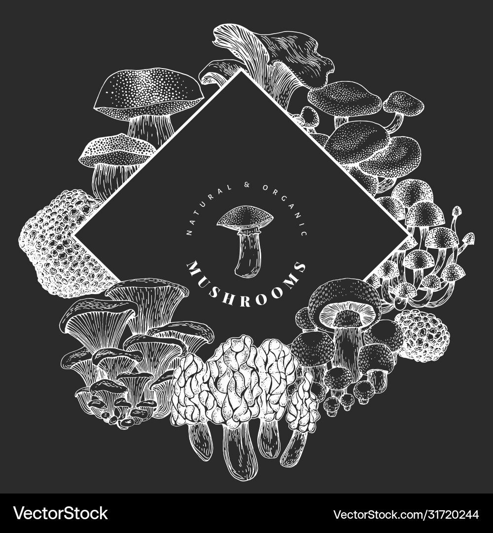 Hand drawn mushroom design template on chalk Vector Image