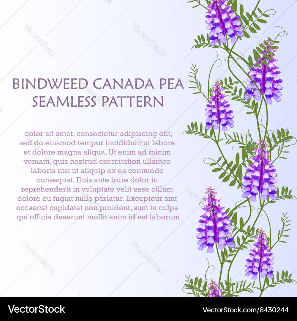 Vertical border seamless pattern wildflowers Vector Image