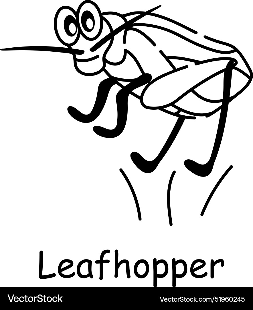 Leafhopper Royalty Free Vector Image - VectorStock