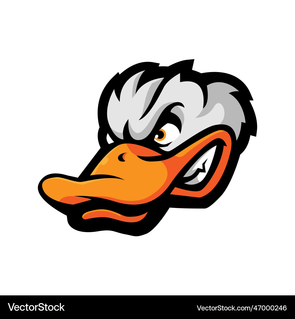Angry duck Royalty Free Vector Image - VectorStock