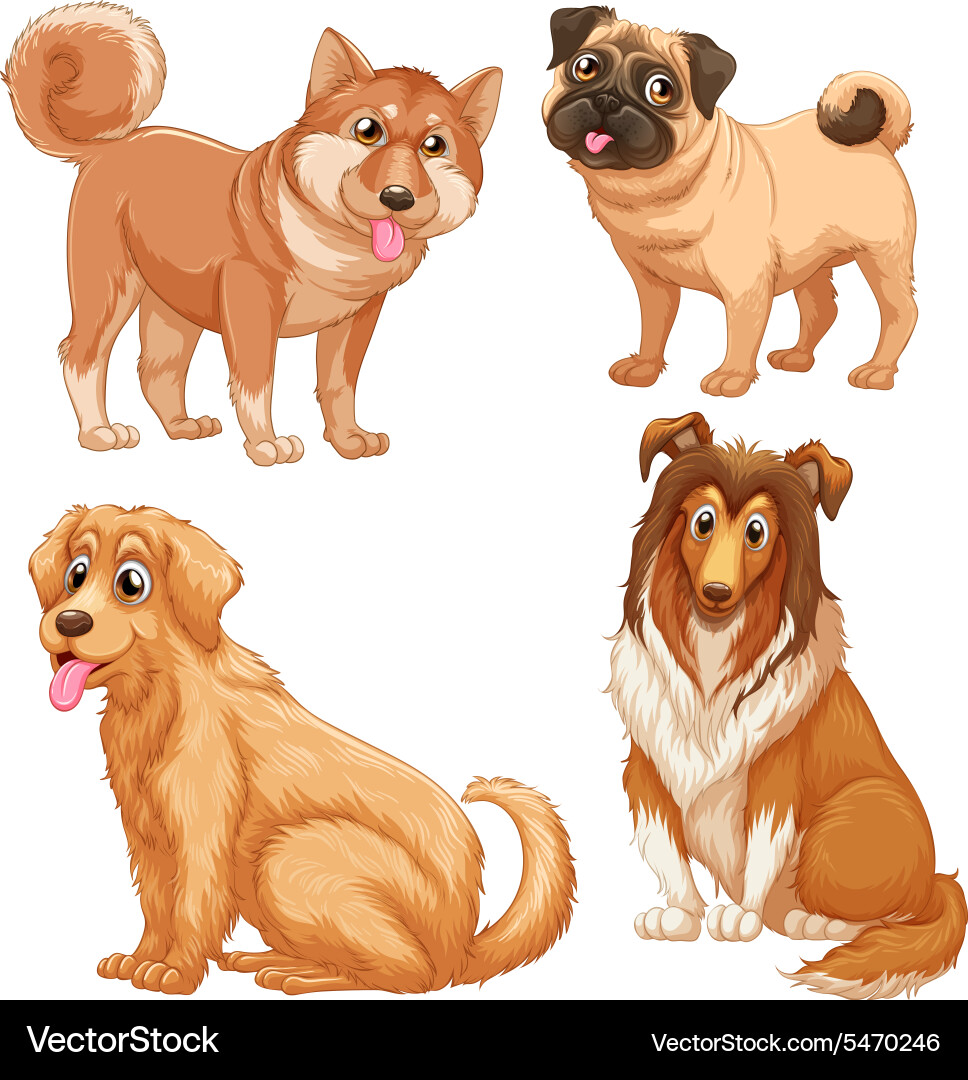 Animals Royalty Free Vector Image - VectorStock