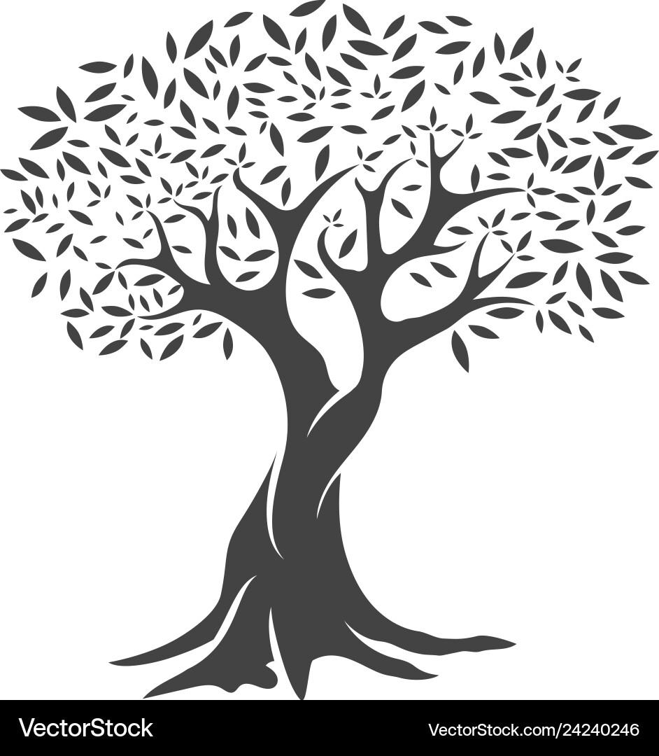 Olive tree Royalty Free Vector Image - VectorStock