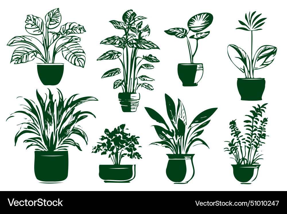 A collection potted plants in various sizes Vector Image