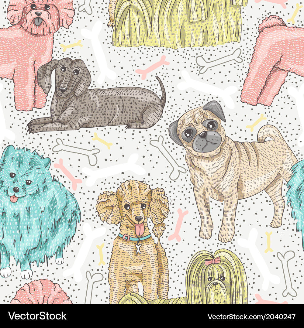 Cute seamless pattern with little breed dogs Vector Image
