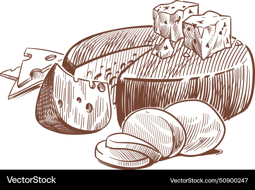 Sketch cheese art compositions with different Vector Image