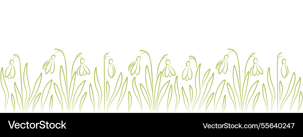Snowdrops border line floral decorative Royalty Free Vector