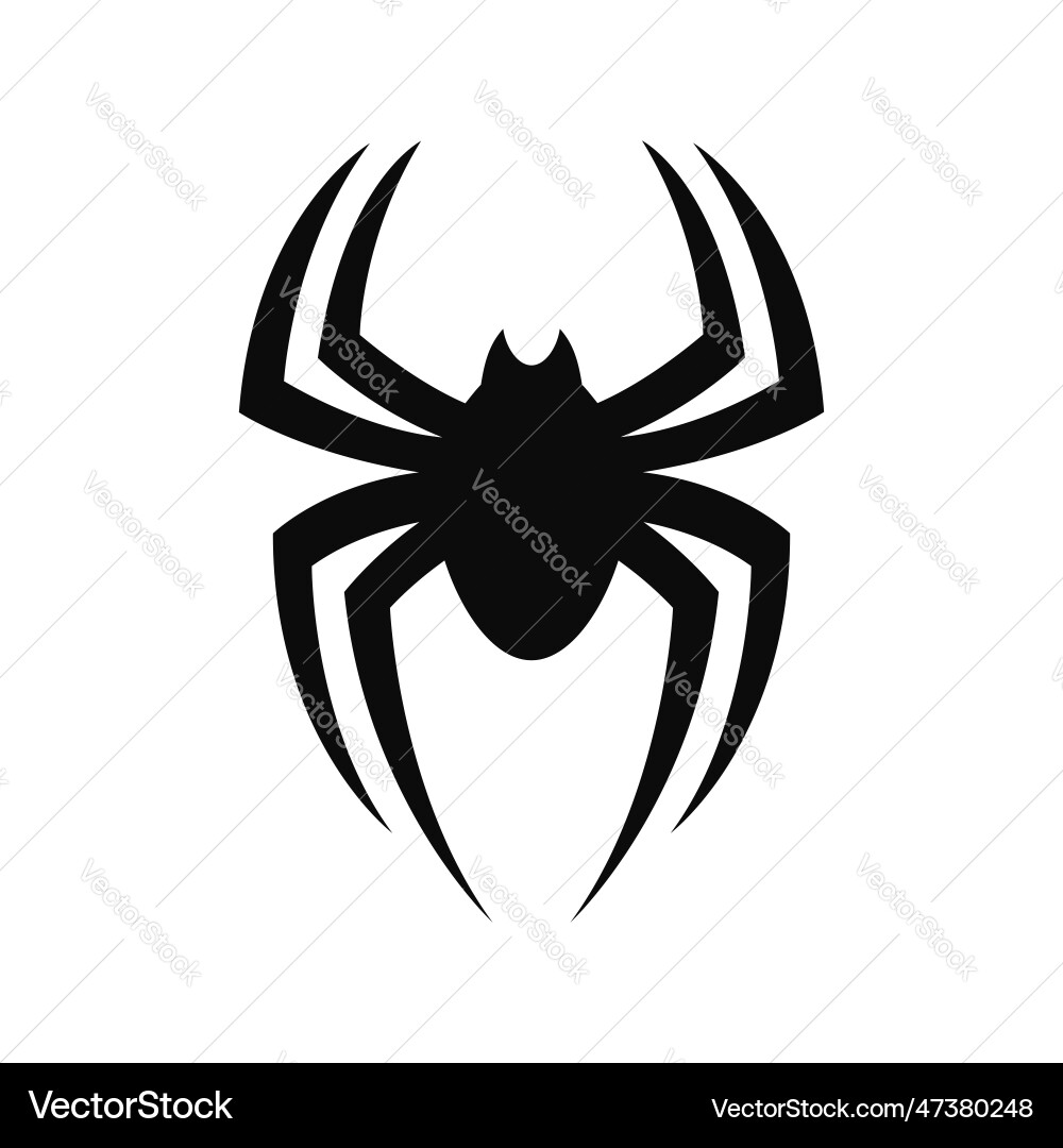 21 spider insect Royalty Free Vector Image - VectorStock