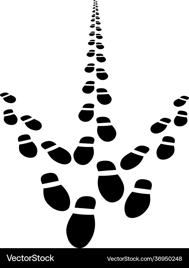 Footprint Royalty Free Vector Image - VectorStock