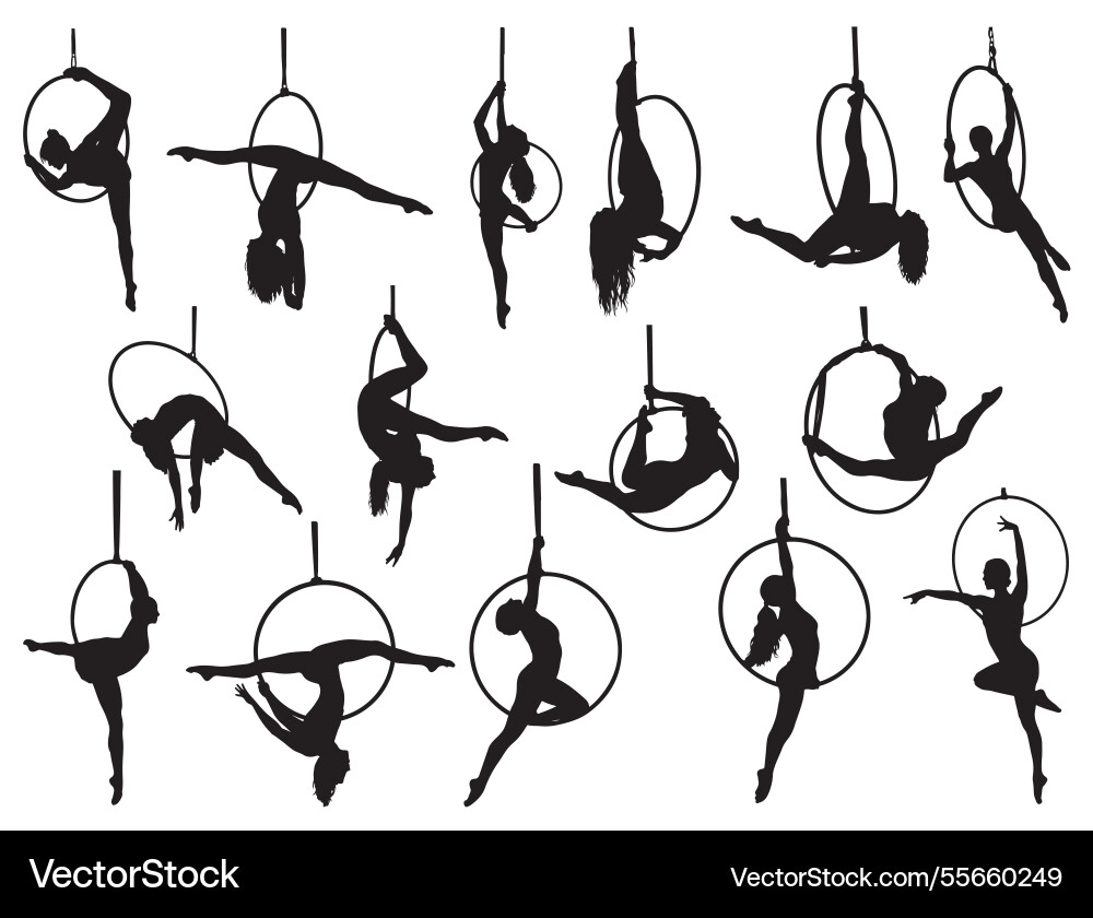 Aerial hoop silhouette Royalty Free Vector Image