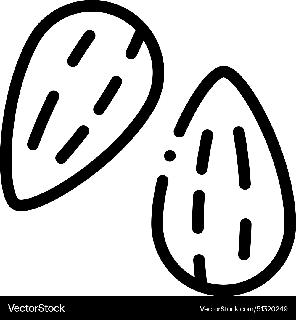 Almonds icon thin linear style design isolated Vector Image