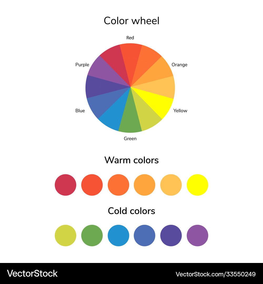 Infographics color wheel warm and cold co Vector Image