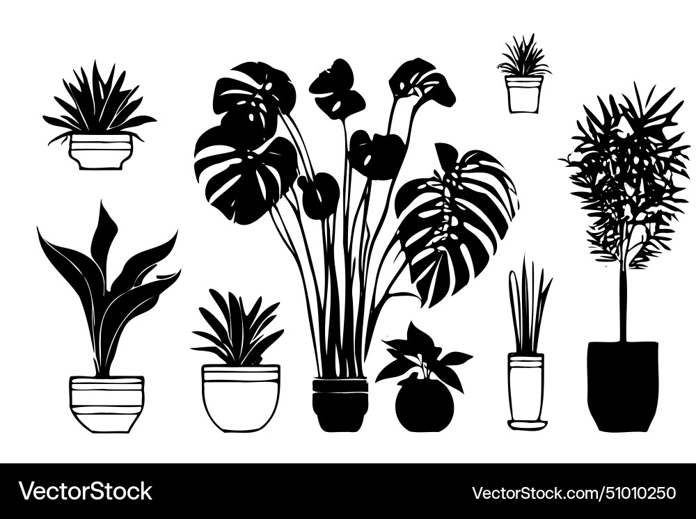 A collection potted plants in various sizes Vector Image