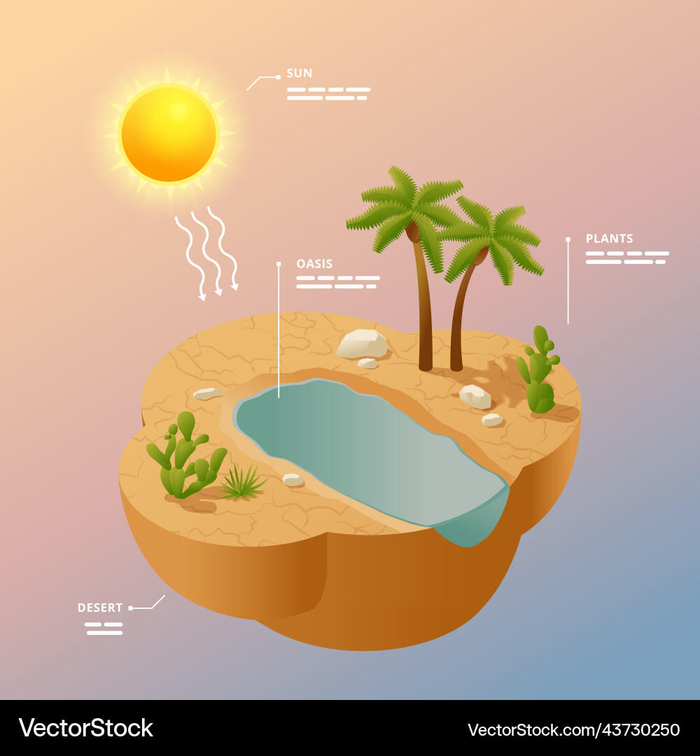 Desert landscape isometric infographics poster Vector Image