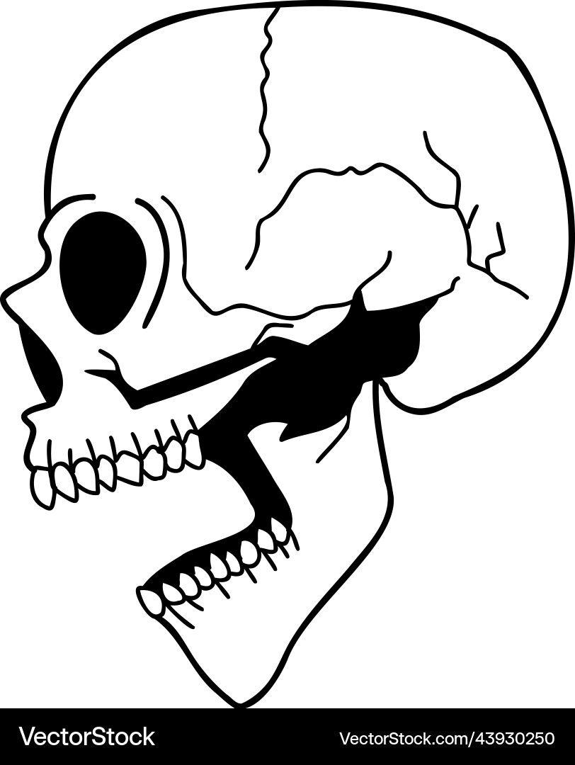 Hand drawn side skull Royalty Free Vector Image