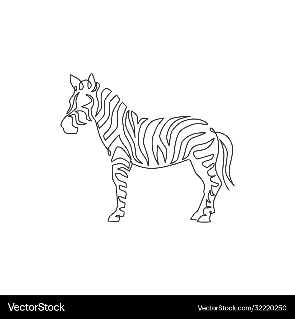 One single line drawing zebra for national Vector Image