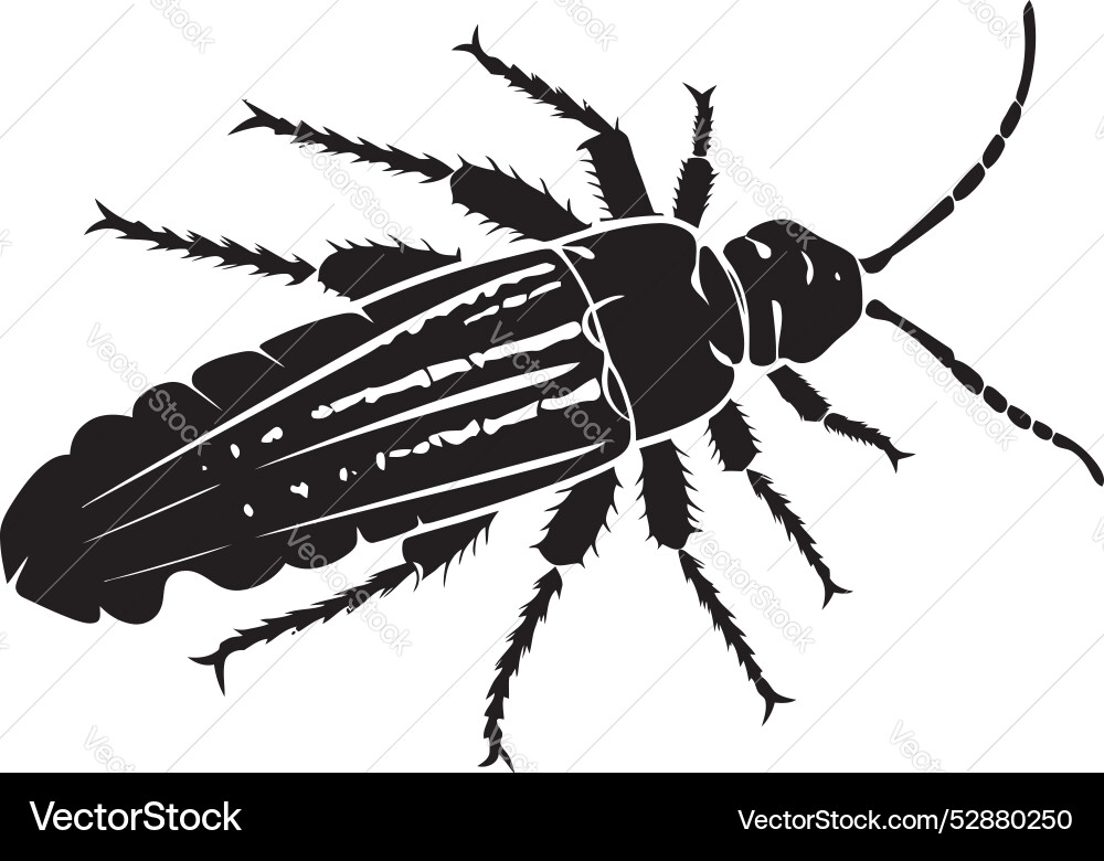 Sleek silverfish icon black beauty elegant insect Vector Image
