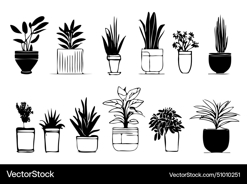 A collection potted plants in various sizes Vector Image