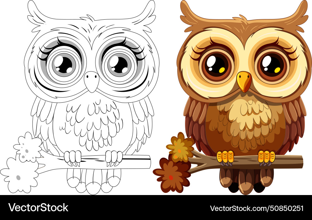An owl colored and line art Royalty Free Vector Image