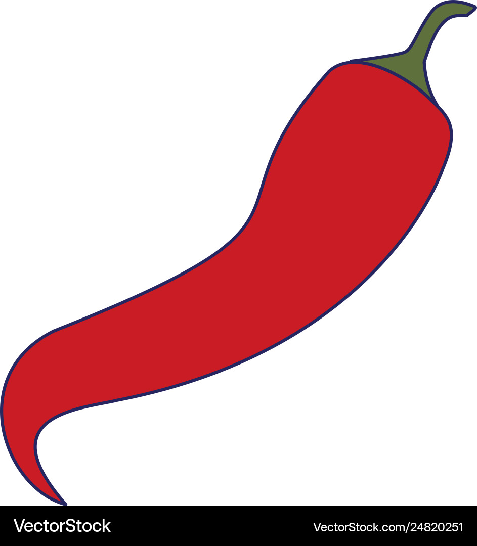 Chilli spicy vegetable isolated Royalty Free Vector Image