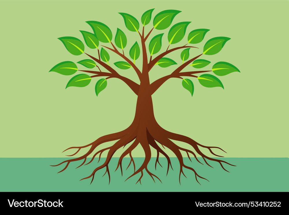 Root Royalty Free Vector Image - VectorStock Root Royalty Free Vector Image - VectorStock
