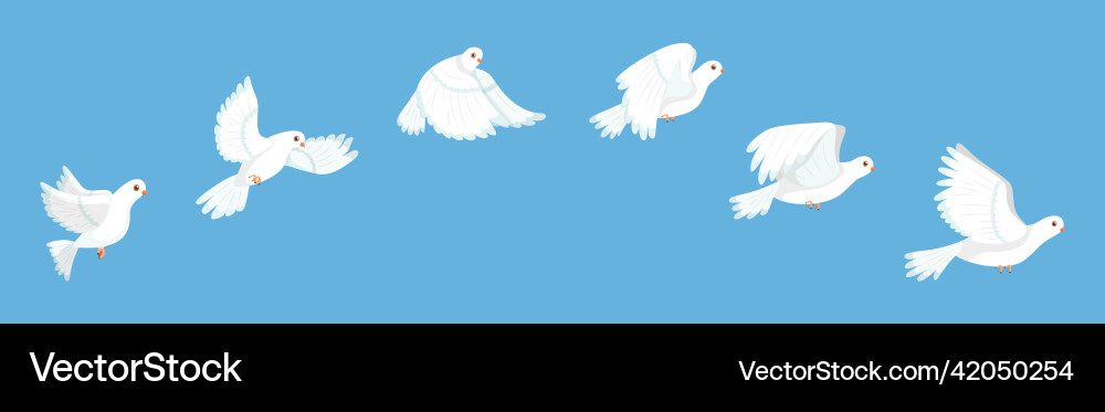 White Pigeon Animation - Flapping Wings Royalty Free Vector