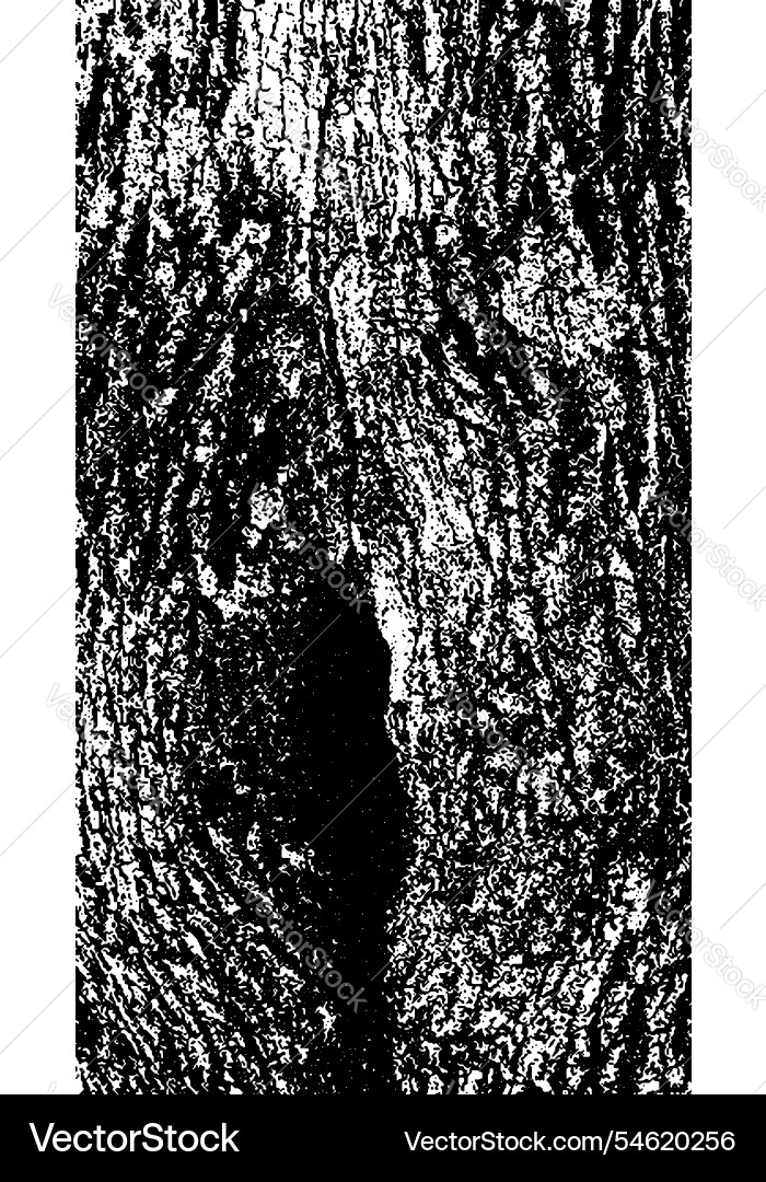Black tree bark texture on a white – Royalty-Free Vector | VectorStock