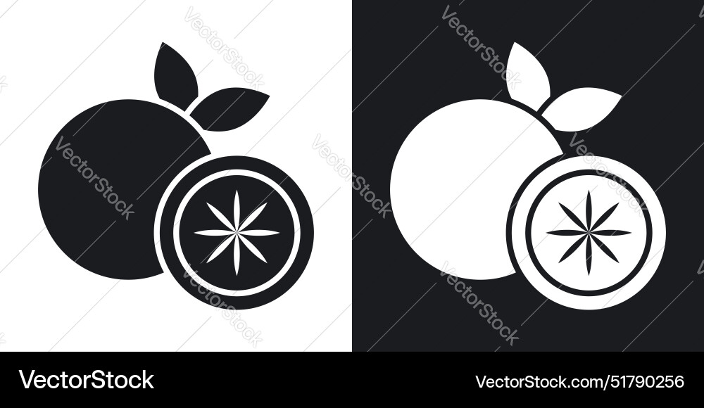 Citrus icon Royalty Free Vector Image - VectorStock