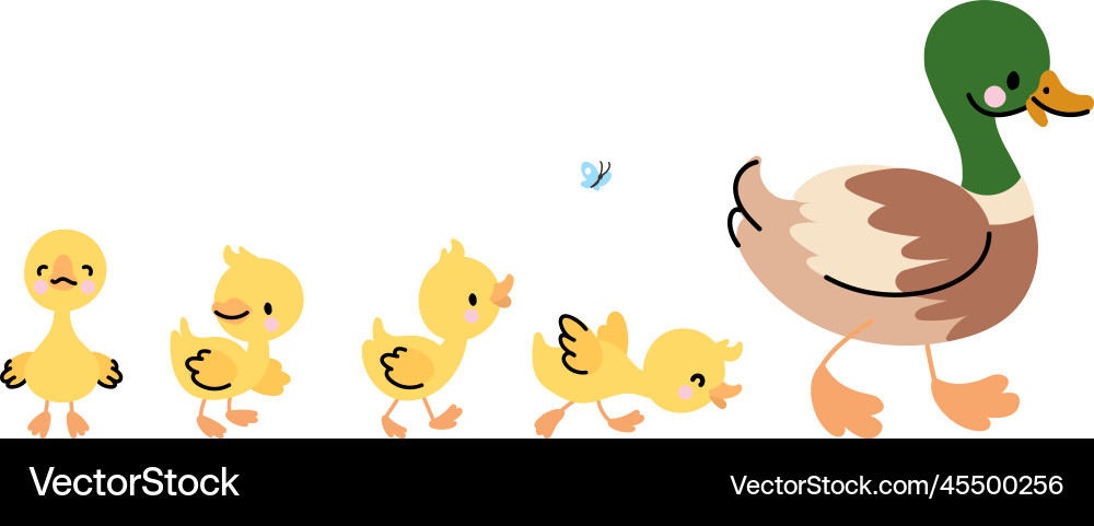 Duck and ducklings isolated concept cute duckling Vector Image