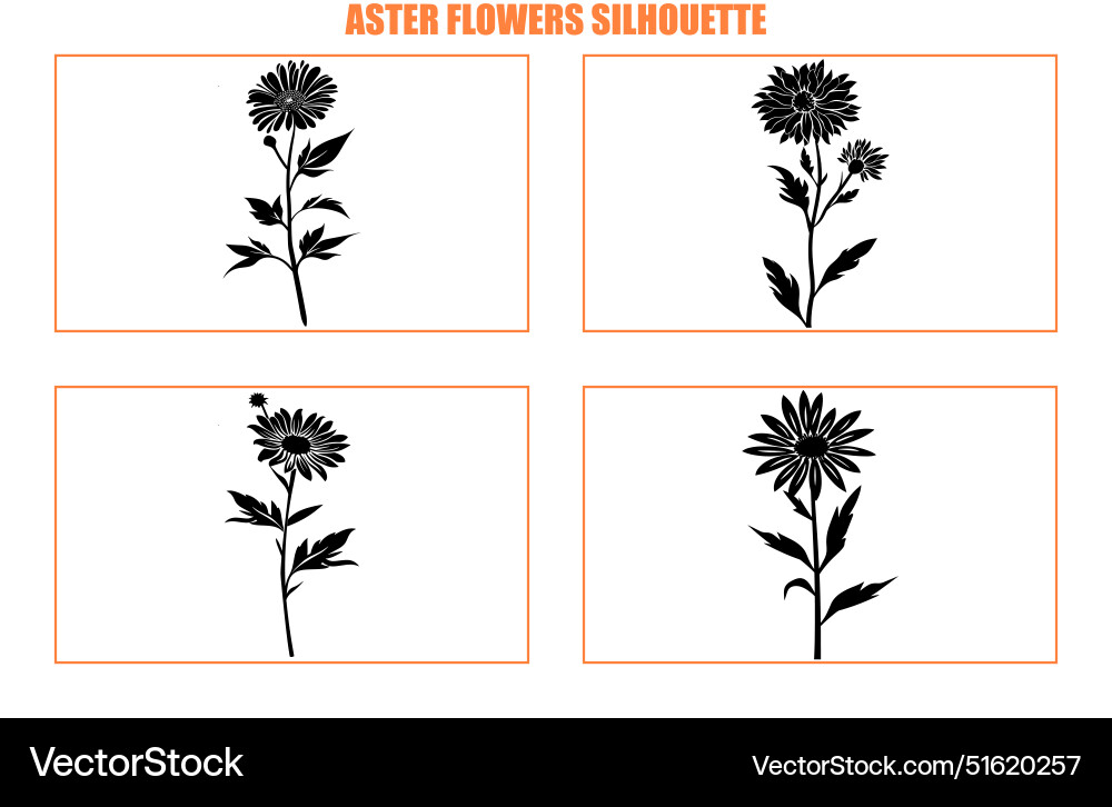 Best aster flower icon set silhouette Royalty Free Vector