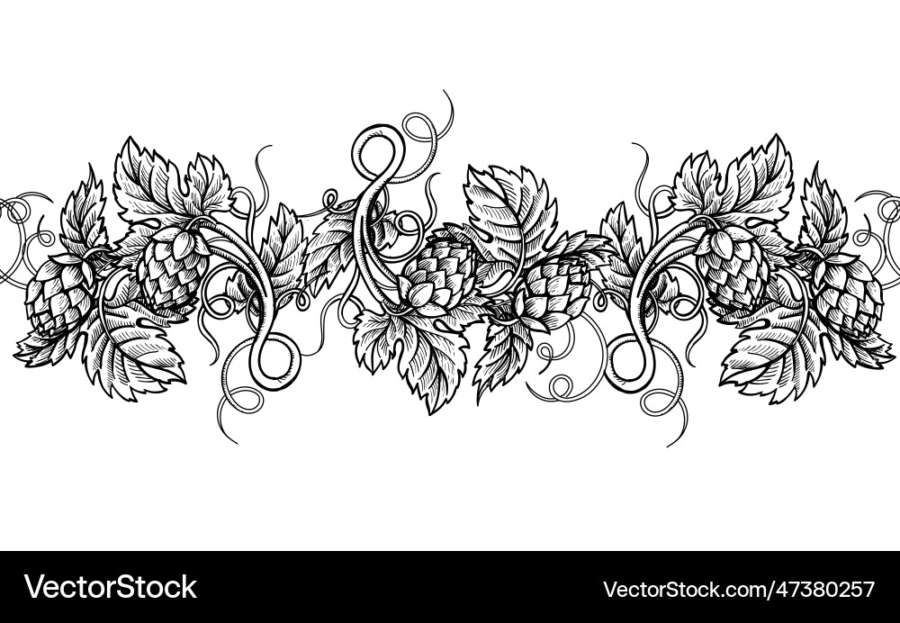 Hop Branch Border - Engraved Leaves & Cones Vector Image