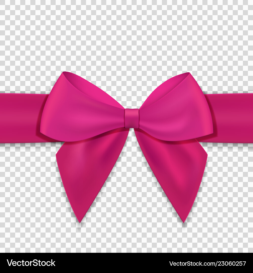 Realistic bow and ribbon isolated Royalty Free Vector Image