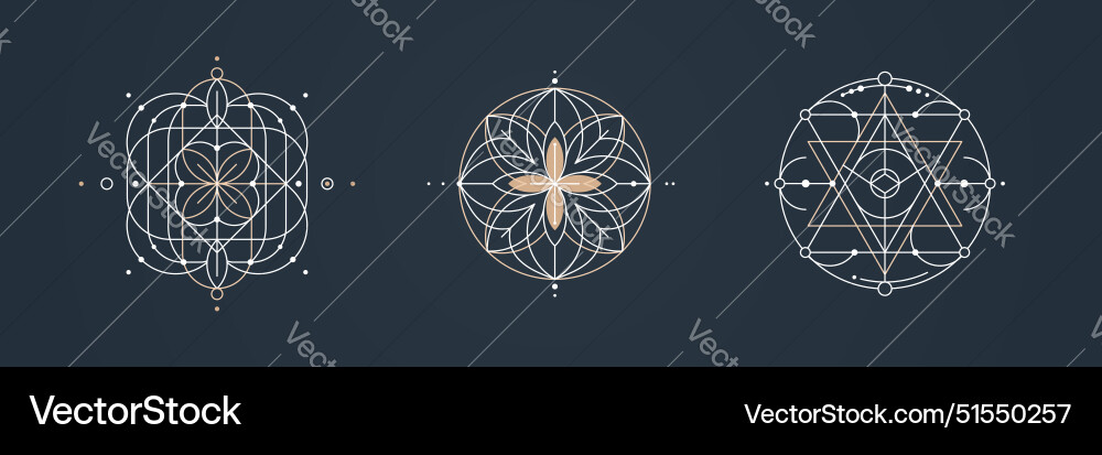 Set of sacred geometry logos symmetrical thin Vector Image