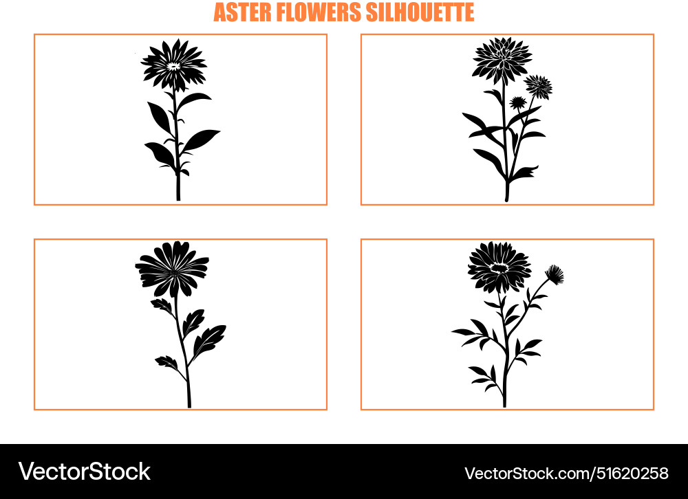 Best aster flower icon set silhouette Royalty Free Vector