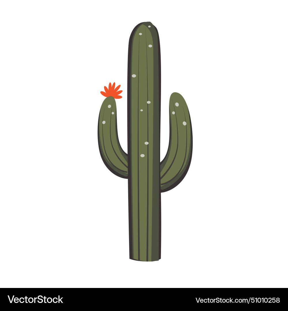 Cactus tree in cartoon flat style image Royalty Free Vector