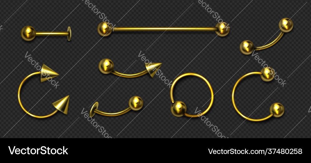 Golden Piercing Jewelry Set Royalty Free Vector Image