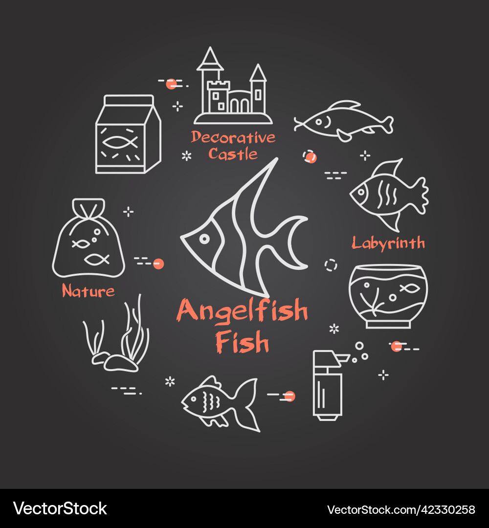 Linear aquarium concept angel fish Royalty Free Vector Image