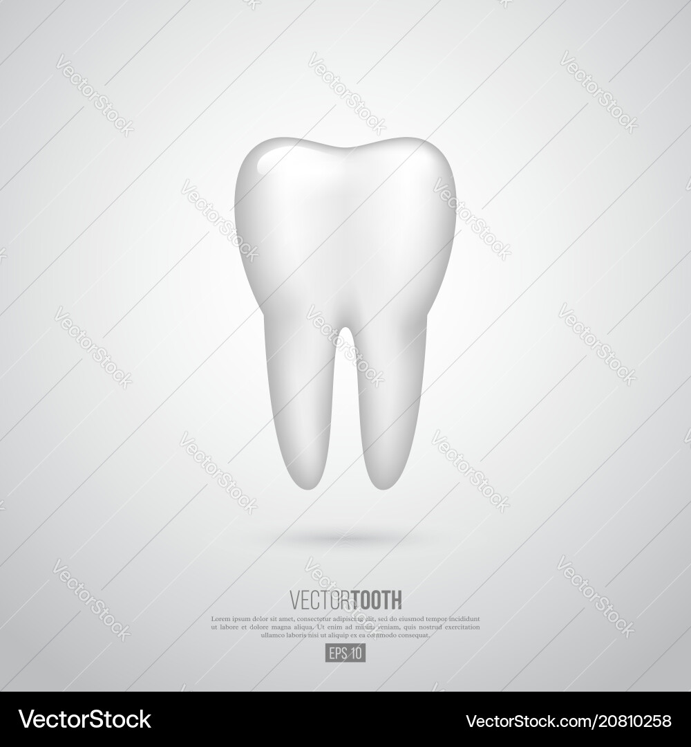 Realistic 3d tooth Royalty Free Vector Image - VectorStock
