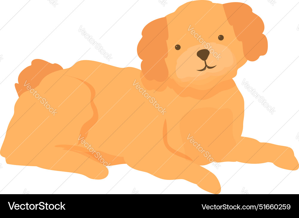 Cute golden doodle dog lying down relaxing Vector Image